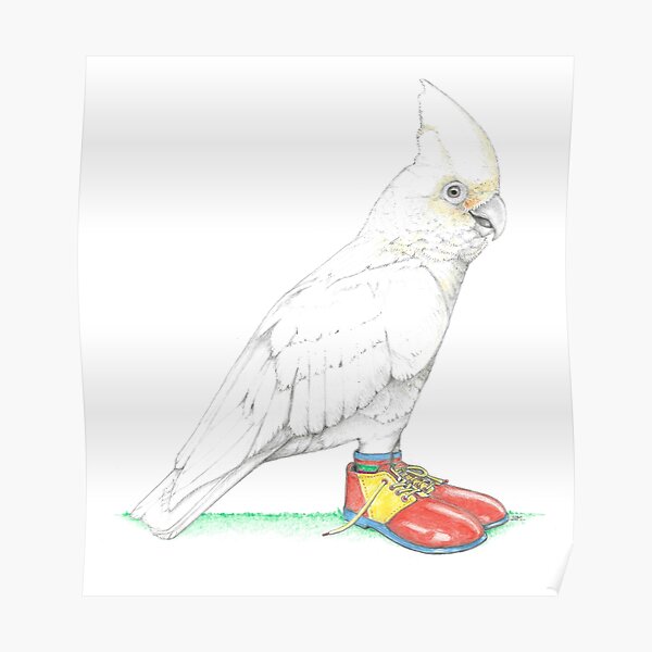 "Cockatoo in Clown Shoes" Poster for Sale by JimsBirds | Redbubble