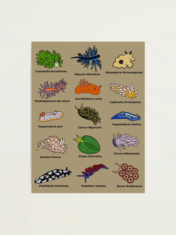 Turbo Slug Names
