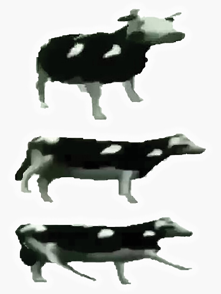 Pegatina «Meme de vaca polaca bailando» de BARBARAJAB54 | Redbubble
