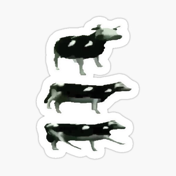 Pegatina «Meme de vaca polaca bailando» de BARBARAJAB54 | Redbubble