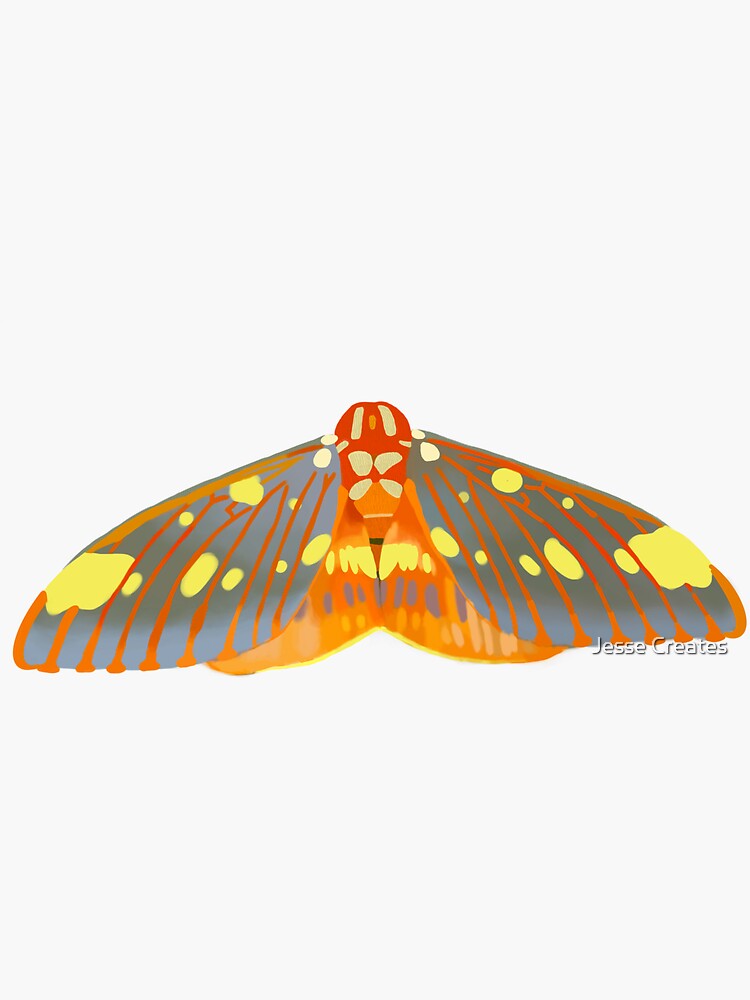 "Regal Walnut Moth" Sticker for Sale by JesseCooper | Redbubble