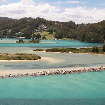 "Wagonga Inlet Colours Narooma" Poster for Sale by Brett Thompson ...