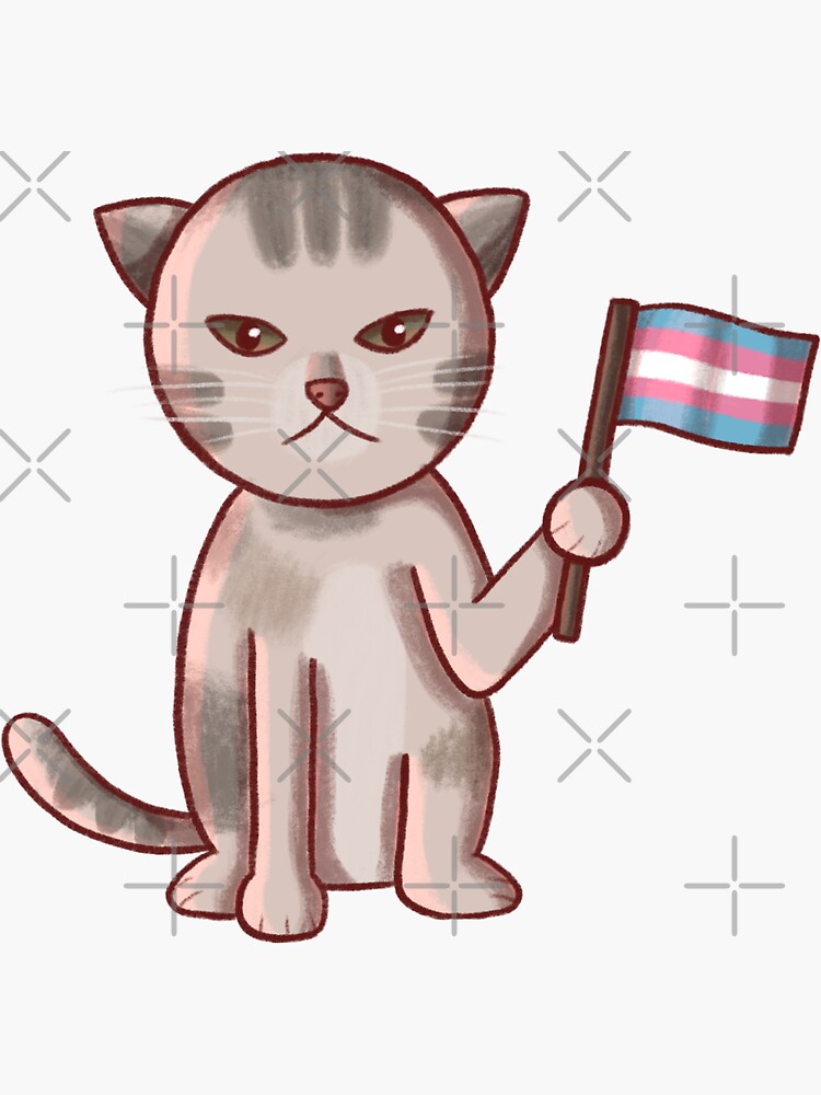 "Transgender Flag Cat" Sticker for Sale by Stupickeroonies | Redbubble