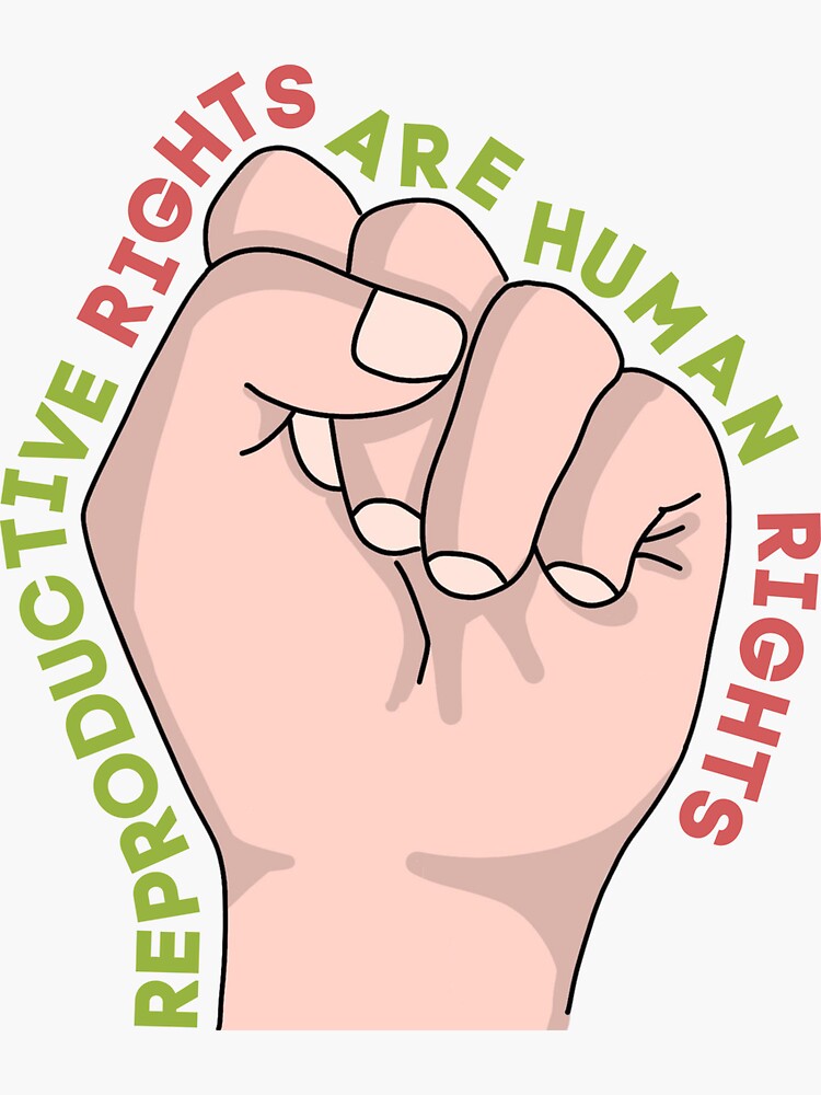 "Reproductive Rights are Human Rights" Sticker for Sale by mnhchau ...