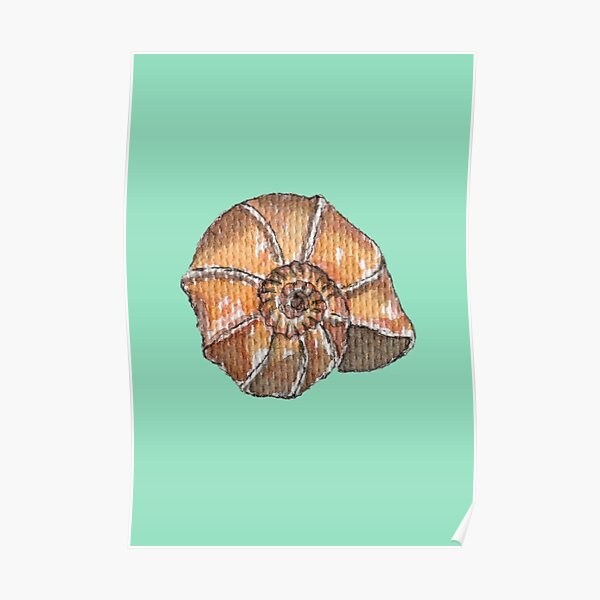 "Spiral Ribbed Seashell Watercolor" Poster for Sale by euniza | Redbubble
