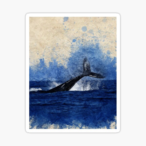 "Reggae Shark Summer Holiday" Sticker for Sale by GetNew | Redbubble