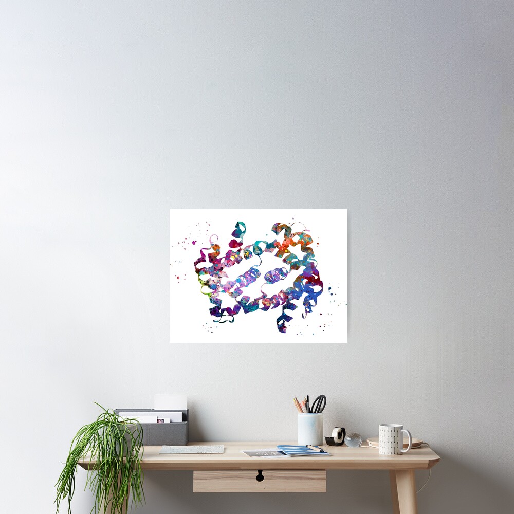 "Hemoglobin Protein Structure of Red Blood Cell" Poster for Sale by ...