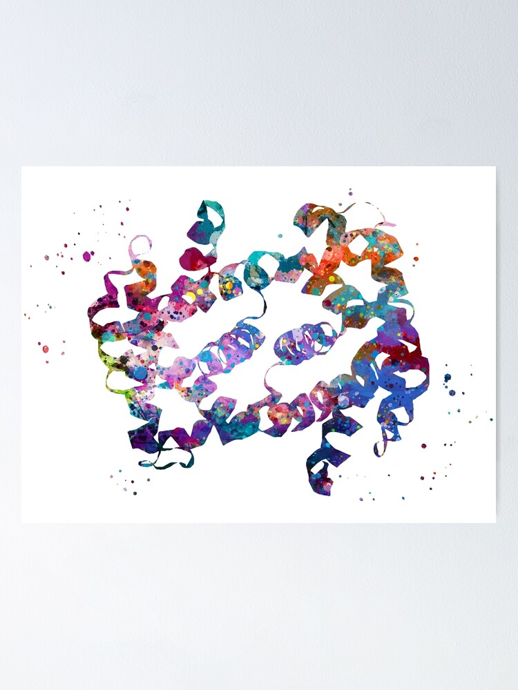 "Hemoglobin Protein Structure of Red Blood Cell" Poster for Sale by ...
