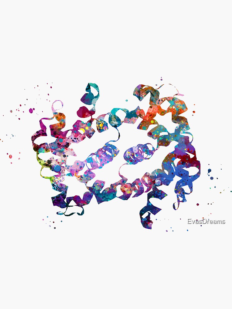 "Hemoglobin Protein Structure of Red Blood Cell" Sticker for Sale by ...