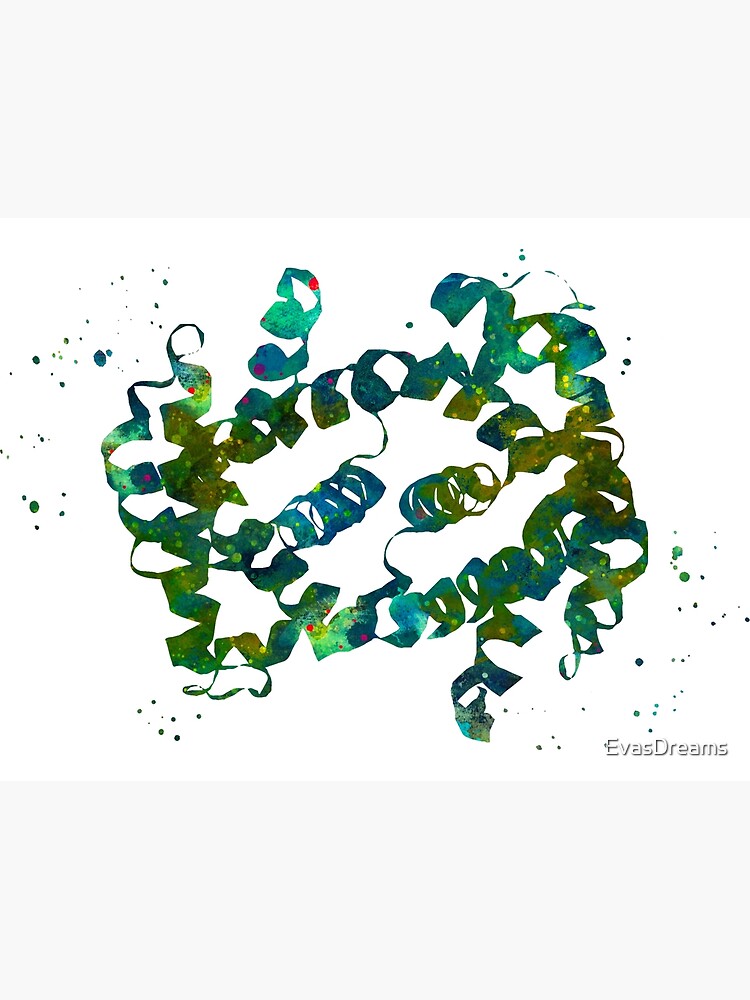 "Hemoglobin Protein Structure of Red Blood Cell" Poster for Sale by ...