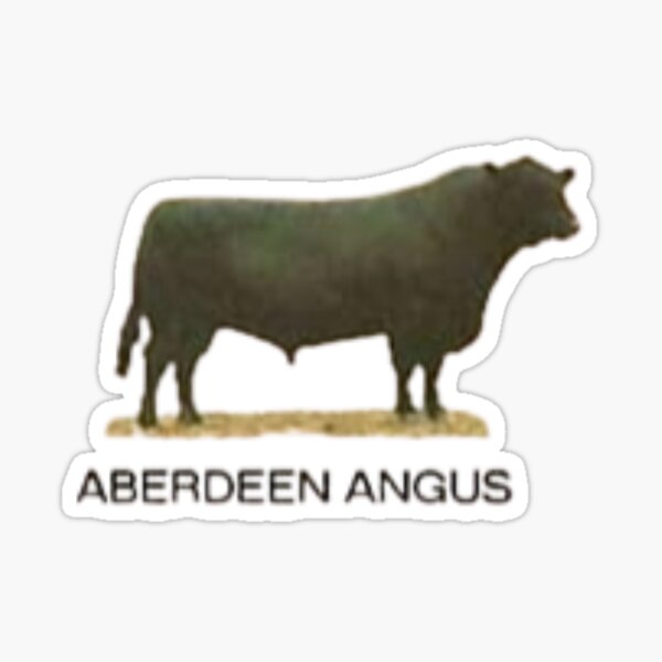 "aberdeen angus shirt" Sticker for Sale by yoursouk | Redbubble