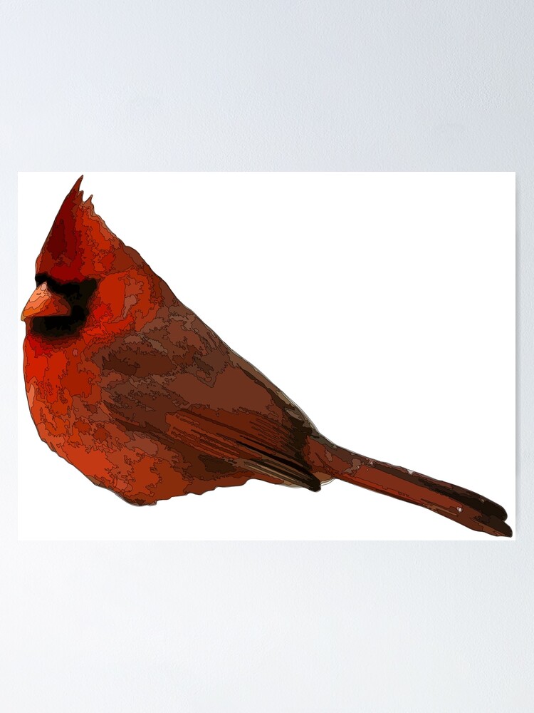 "Cardinal" Poster for Sale by Pellucid | Redbubble