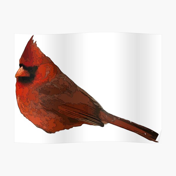 "Cardinal" Poster for Sale by Pellucid | Redbubble