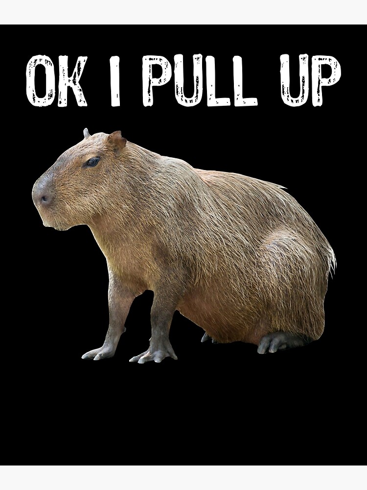 "Ok I Pull Up Capybara" Poster for Sale by johnnathan1993 | Redbubble