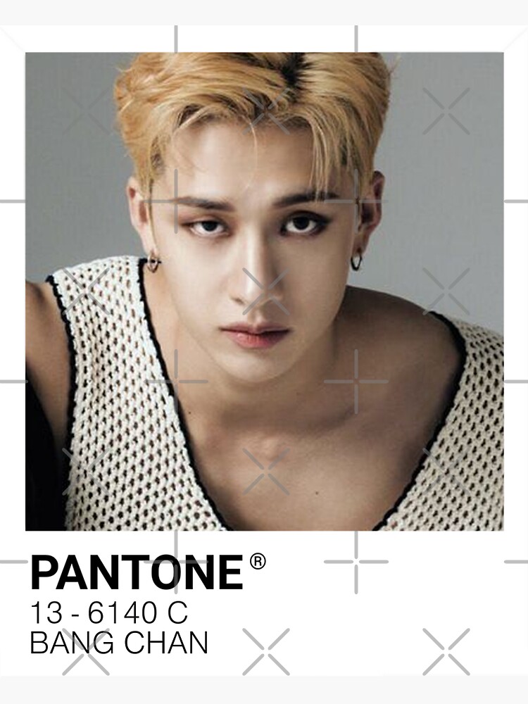 "bang chan" Sticker for Sale by jvsmin | Redbubble