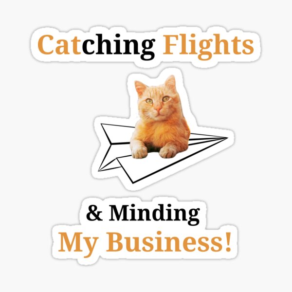 "Catching Flights Not Feelings & Minding My Business - Funny Cat Memes ...