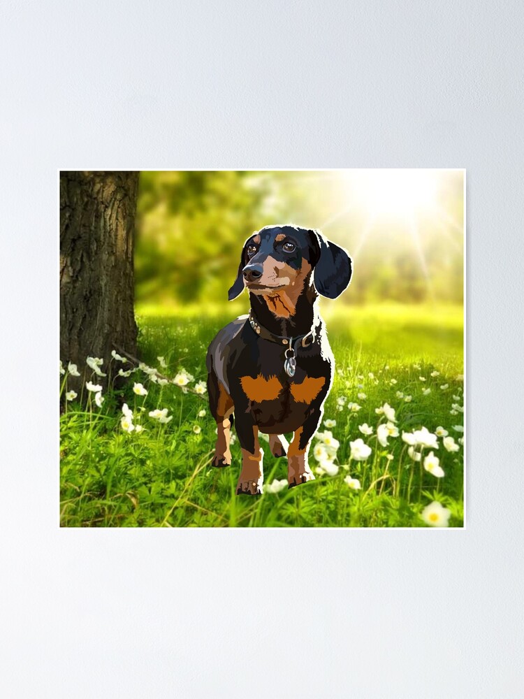 Poster « Dessin de teckel », par DolphinsDoodle | Redbubble