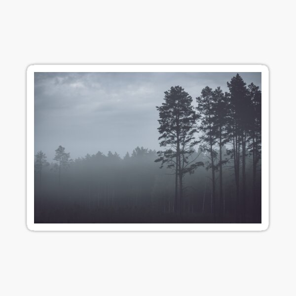 "Mystery pine forest covered with fog" Sticker for Sale by ...