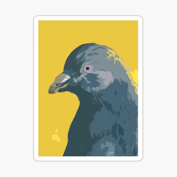 "pigeon" Sticker for Sale by niamhGra | Redbubble