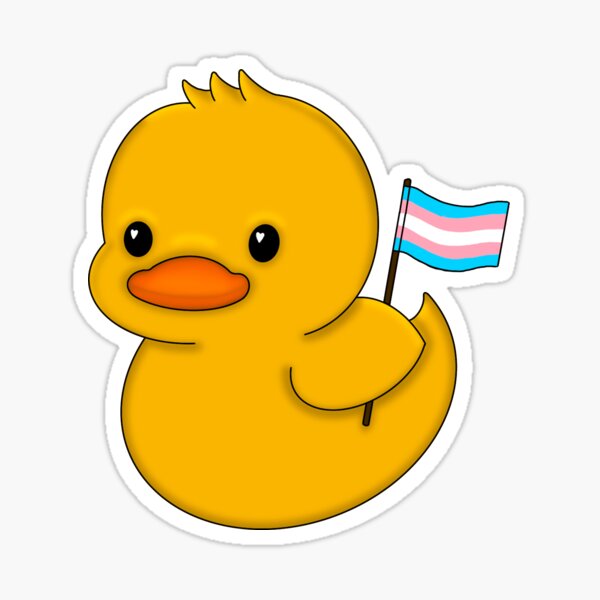 "trans pride duck" Sticker for Sale by jellyfishbrain | Redbubble