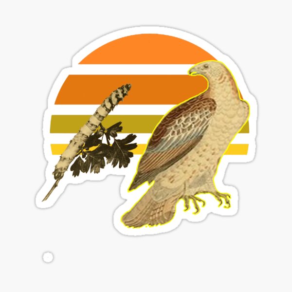 "birdwatching" Sticker for Sale by isniwahyuna | Redbubble