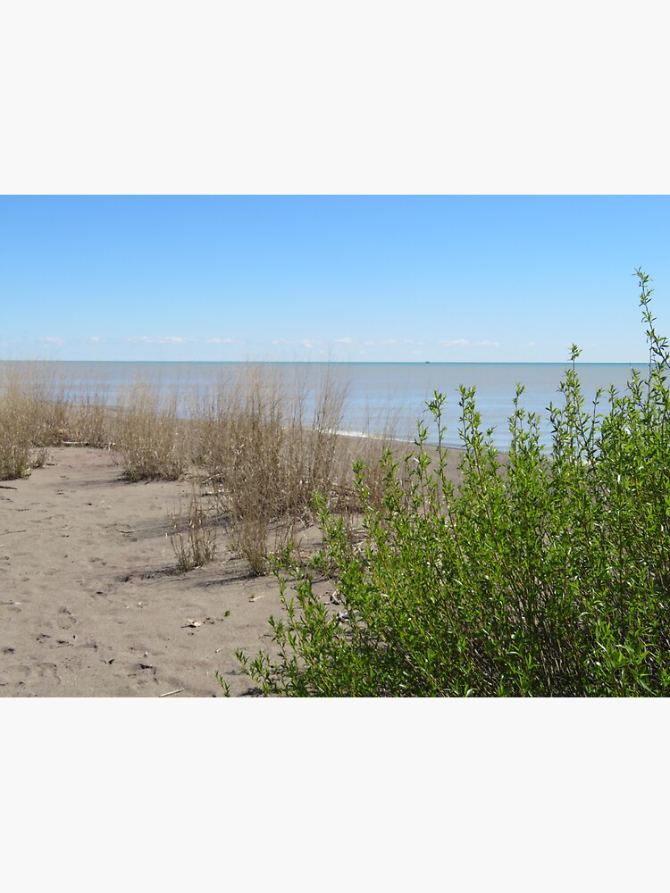 "Point Pelee Beach" Sticker for Sale by caybeach | Redbubble