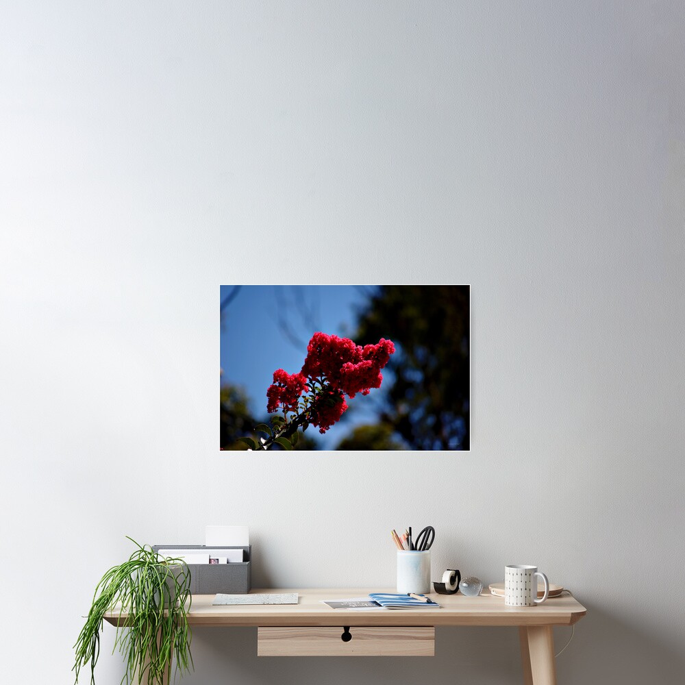 "P!NK" Poster by cmhall | Redbubble