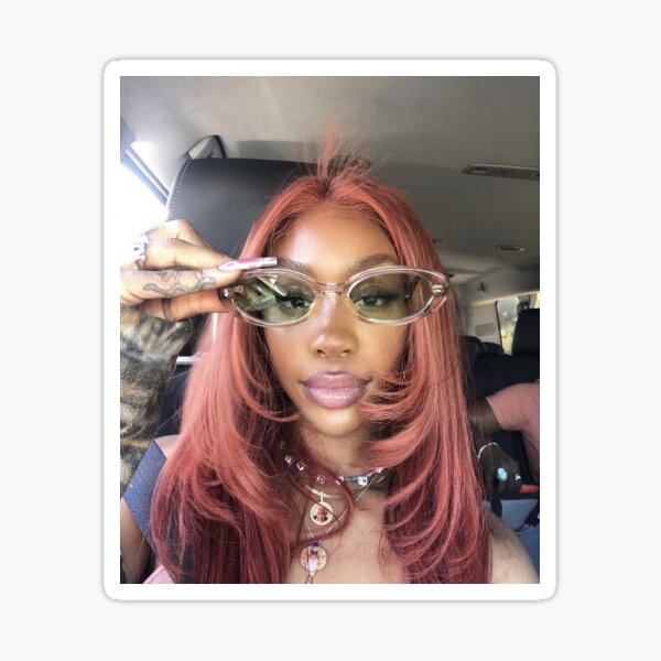 "SZA ?" Sticker for Sale by aysiamb | Redbubble