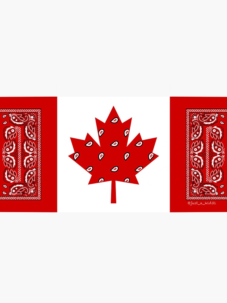 "Red Canadian Flag" Sticker for Sale by Just-a-Kid31 | Redbubble