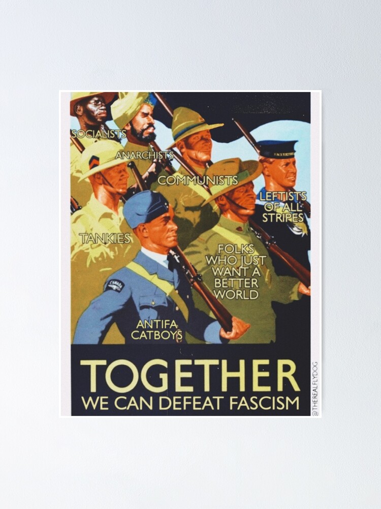 "Together - We Can Defeat the Baddies" Poster for Sale by TheREALFlyDog ...
