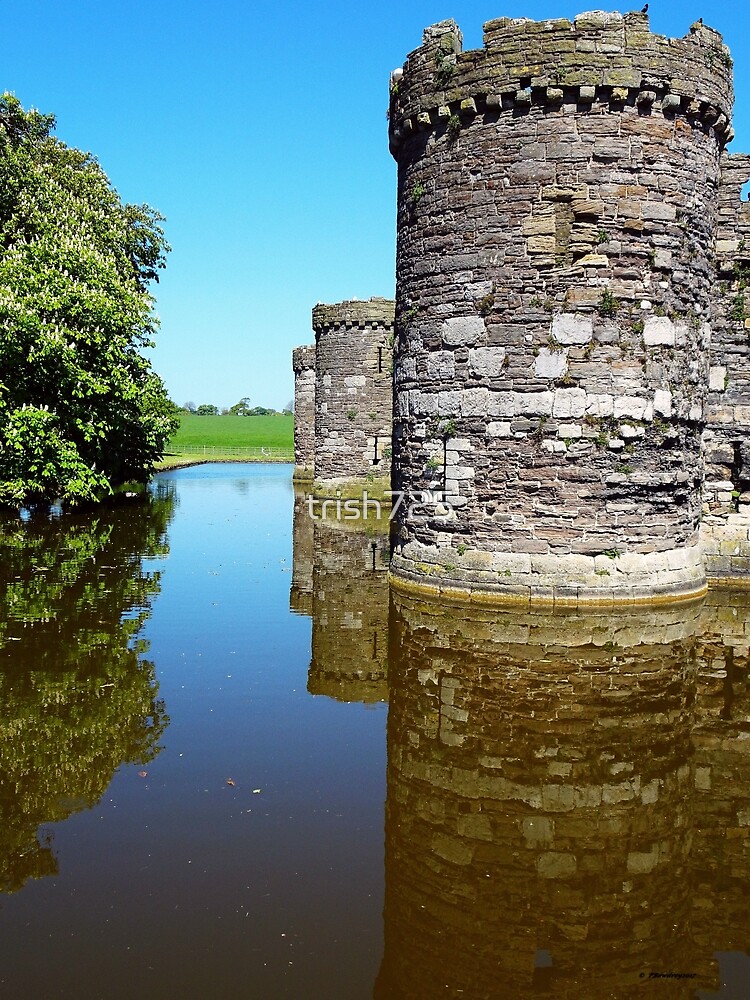 "The Towers of Beaumaris Castle" Poster for Sale by trish725 | Redbubble