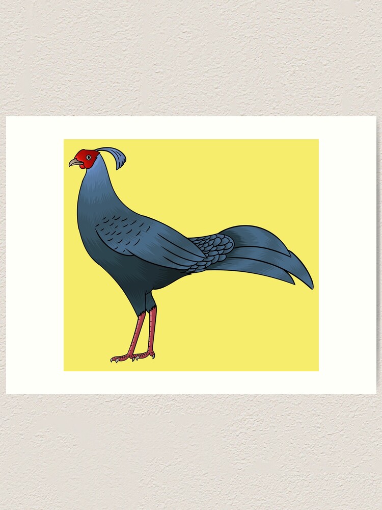 "Siamese fireback bird cartoon illustration" Art Print for Sale by ...