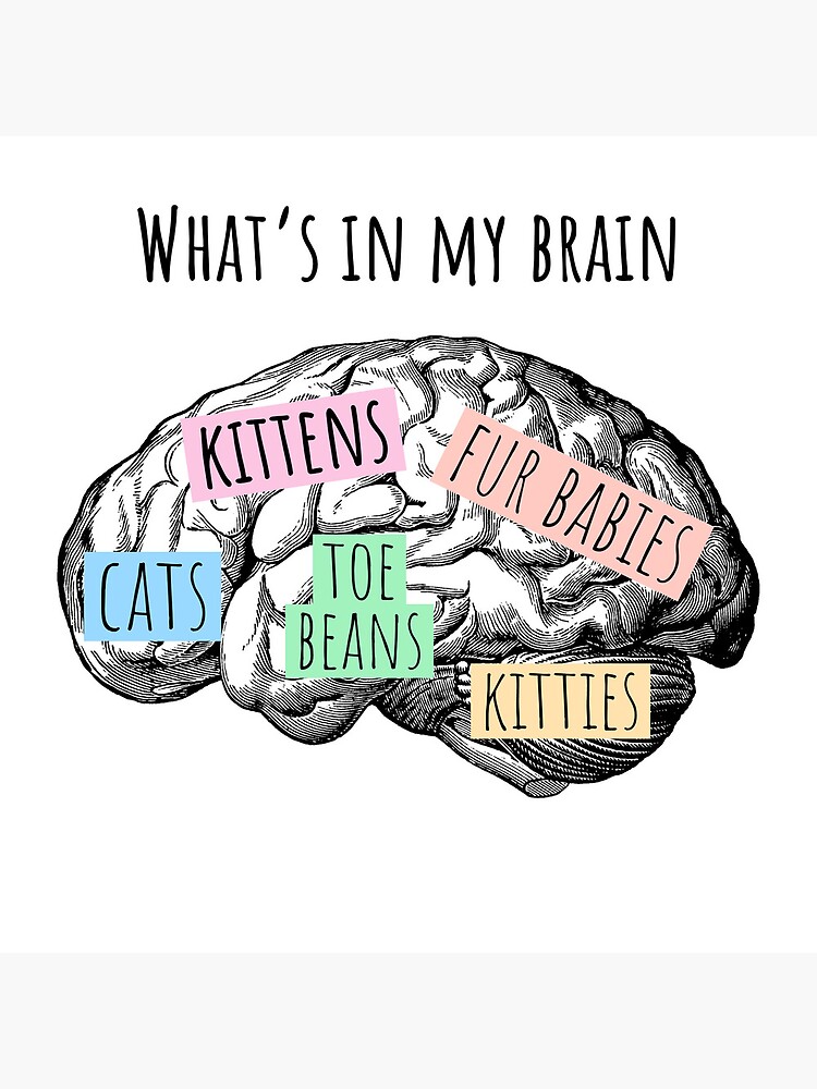 "WHAT'S IN MY BRAIN-CAT" Poster for Sale by E-YO | Redbubble