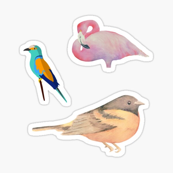 "birds sticker pack of three|birds lover gift|funny birds pack gift ...