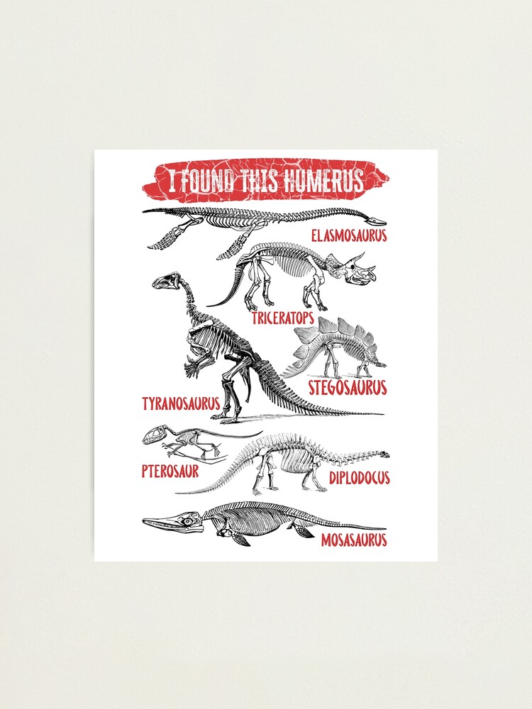 Lámina fotográfica «Todos los tipos de dinosaurios: identificación de ...