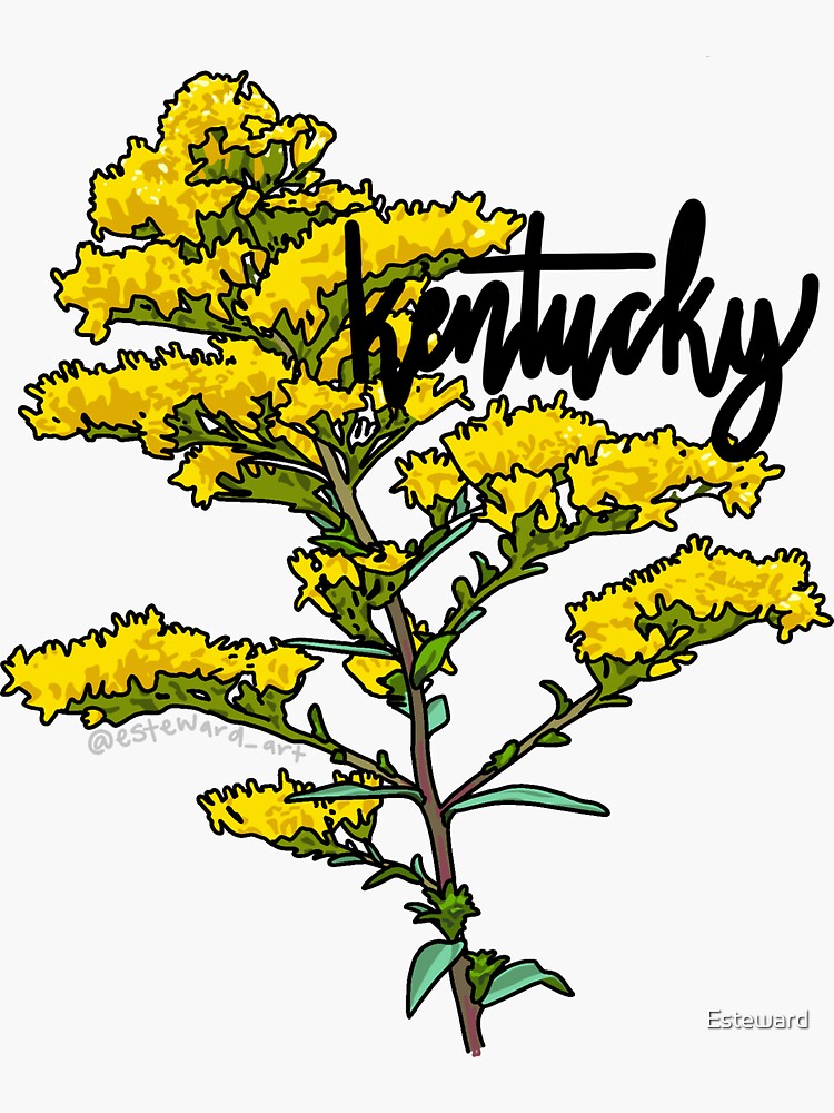 "kentucky state flower " Sticker for Sale by Esteward | Redbubble