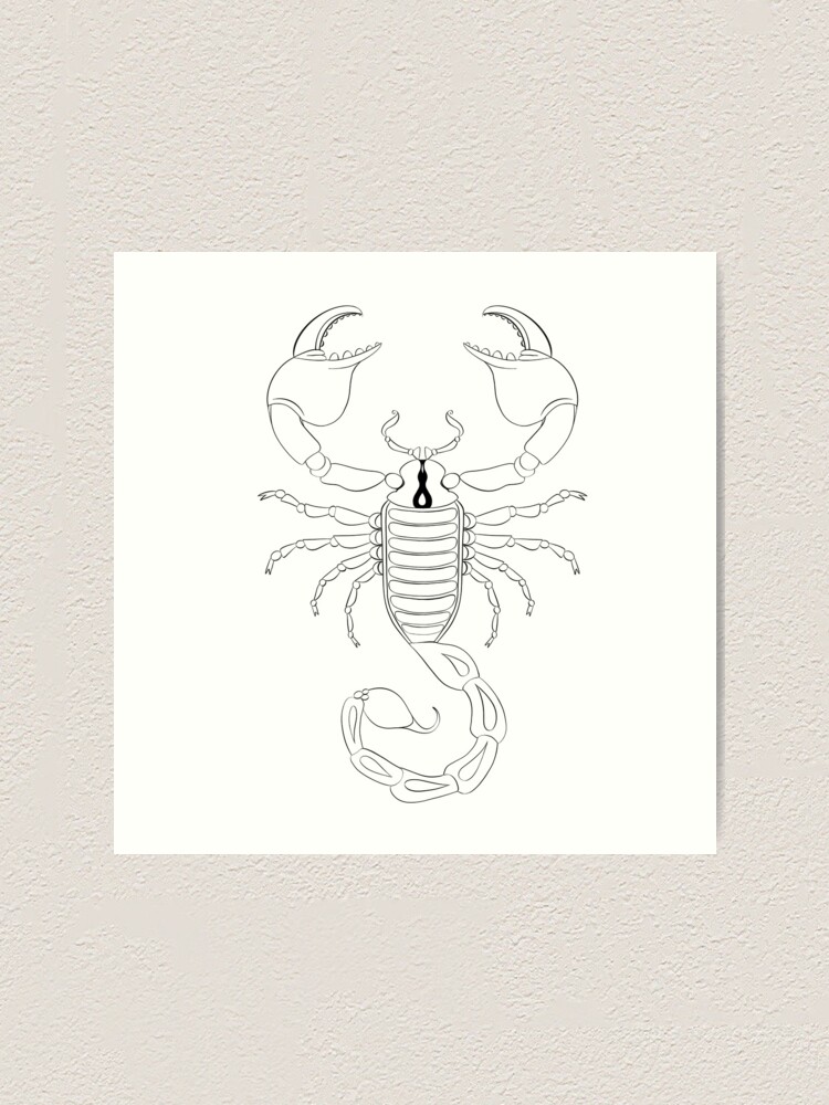 "Scorpion Line Art" Art Print for Sale by JuliaMNDesigns | Redbubble