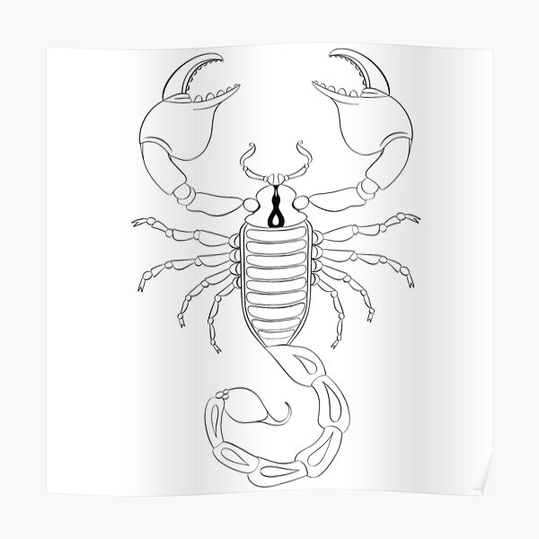 "Scorpion Line Art" Poster for Sale by JuliaMNDesigns | Redbubble