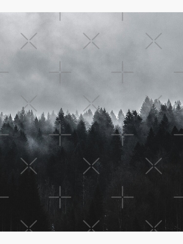 Poster « Dessin de la forêt brumeuse, forêt brumeuse vert foncé ...