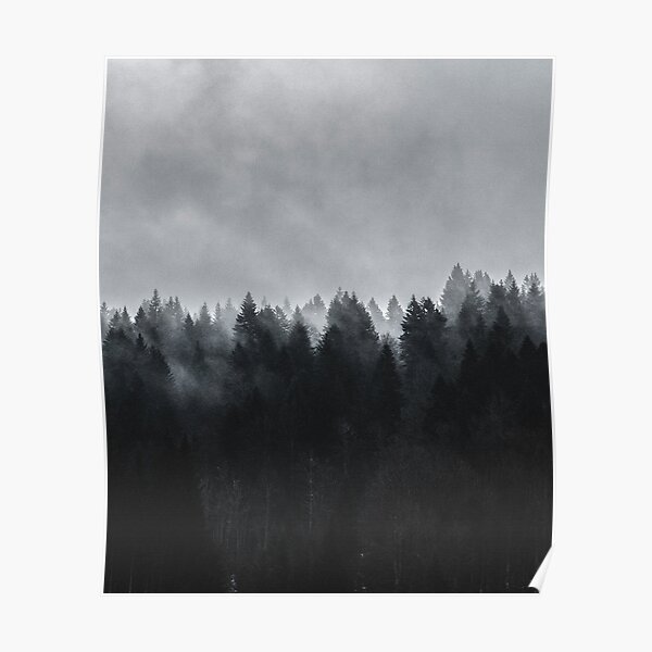 Poster « Dessin de la forêt brumeuse, forêt brumeuse vert foncé ...