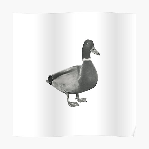 " Hand Drawing of Daffney the Duck" Poster for Sale by Librafinearts ...