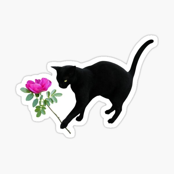 "Black Cat Rose" Sticker for Sale by catsclips | Redbubble