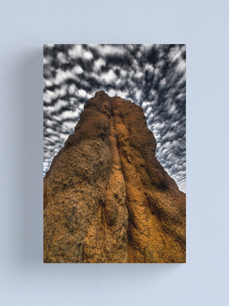 "Termite Towers" Canvas Print by Robsteriography | Redbubble