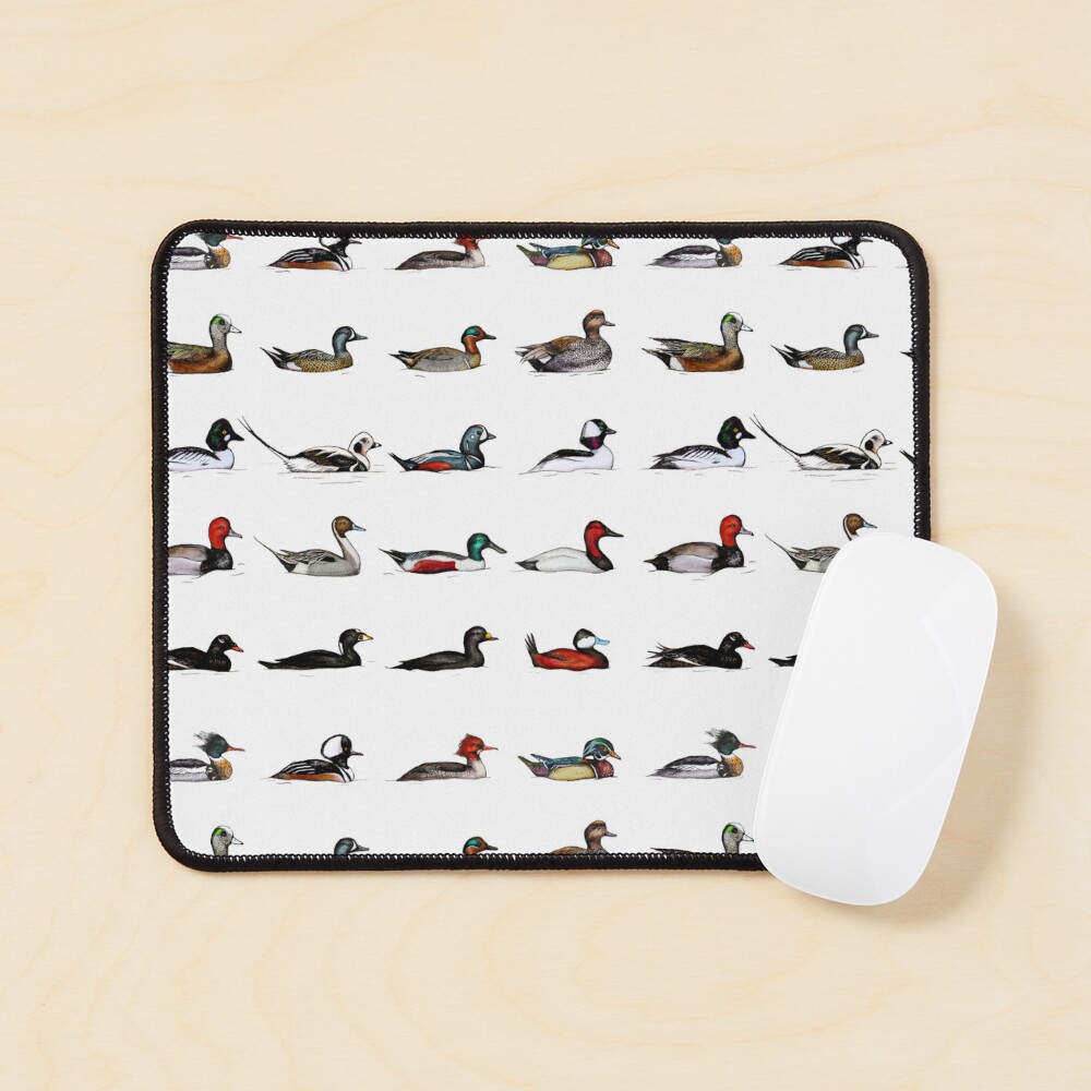 "Ducks of North America - 20 diving and dabbling ducks, bird art, duck ...