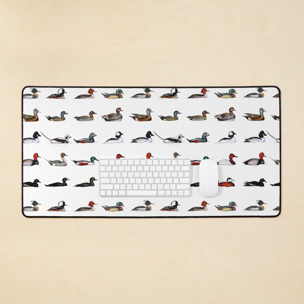 "Ducks of North America - 20 diving and dabbling ducks, bird art, duck ...