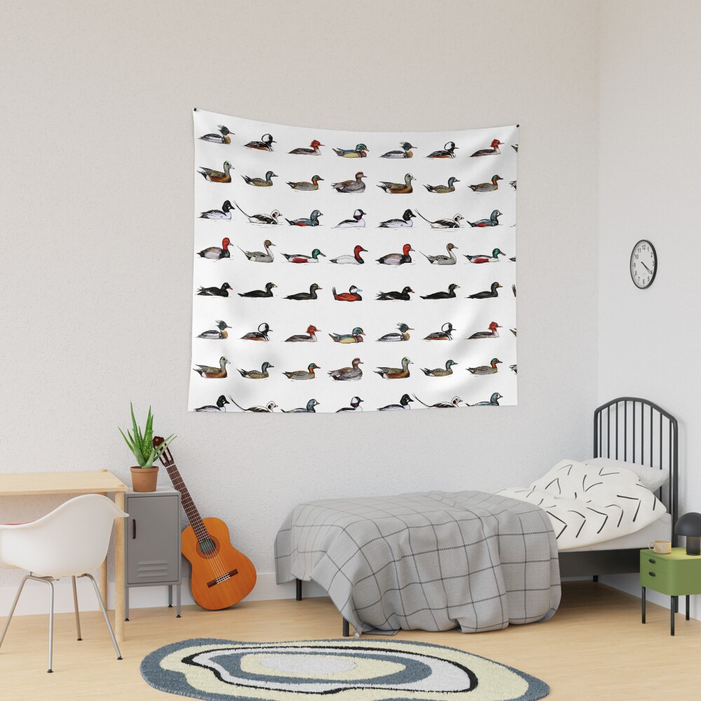 "Ducks of North America - 20 diving and dabbling ducks, bird art, duck ...