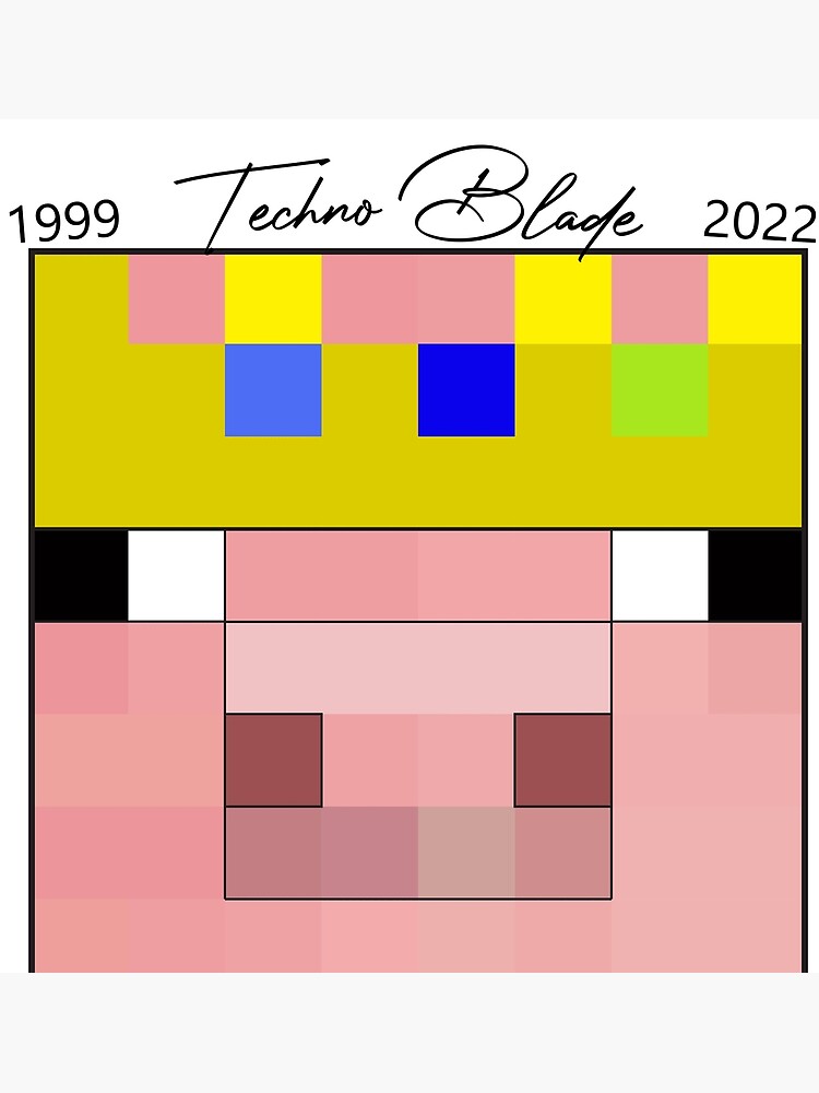 Lámina fotográfica «Descansa en paz Techno Blade (Minecraft Streamer ...