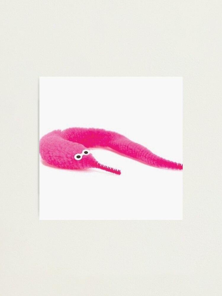 "worm on a string" Photographic Print by mrspooder | Redbubble