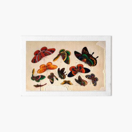 " Paintings of Insects Qing dynasty" Art Board Print for Sale by InSitu ...