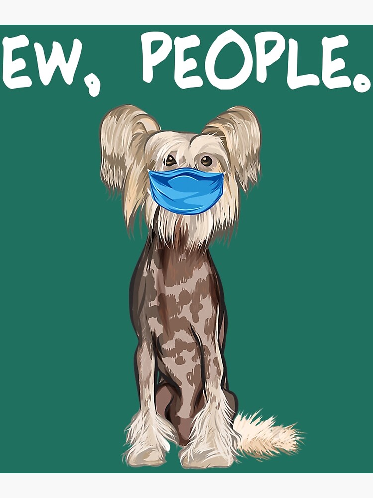 "Chinese Crested Ew People Dog Wearing Face Mask" Poster for Sale by ...
